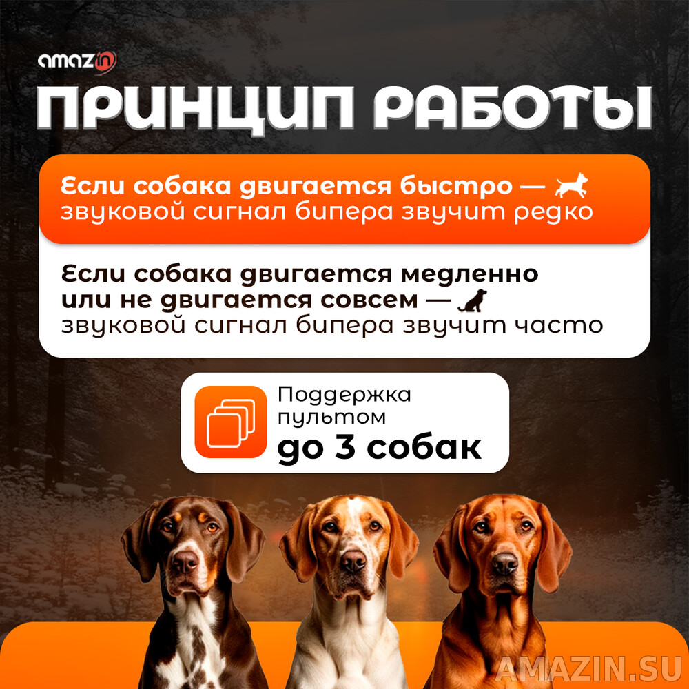 Купить бипер для охотничьих собак на пульте D100 - Купить в Краснодаре ...
